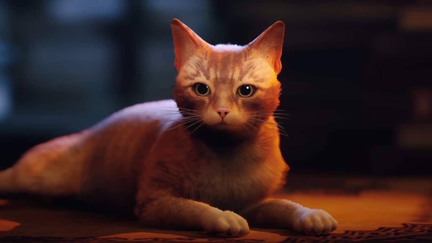 Stray, the cat game everyone loves, is launching July 19