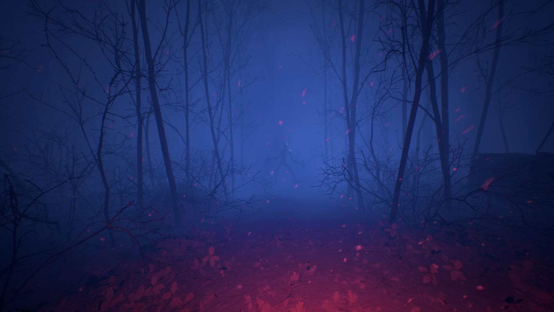 'Macabre' Wants to Forge a New Path in Australian Gothic Horror